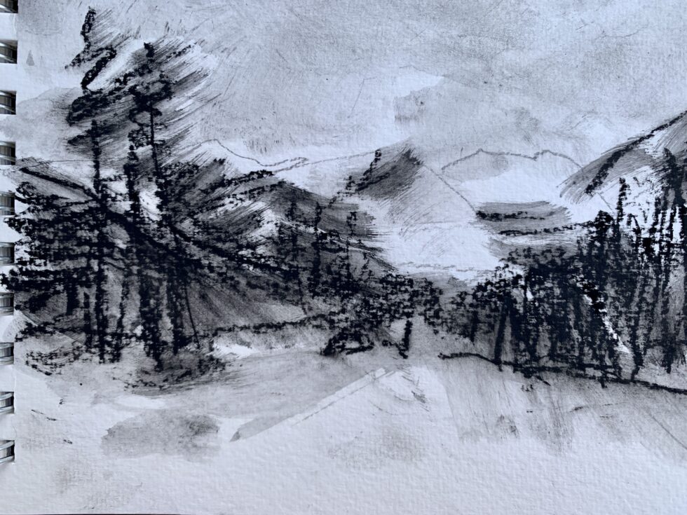 I made a quick charcoal sketch, then spread the material with a damp ...